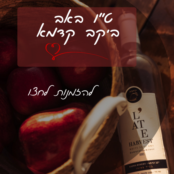 יקב קדמא – Wine More Wine