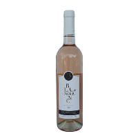 יקב קדמא – Wine More Wine