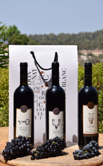 יקב קדמא – Wine More Wine