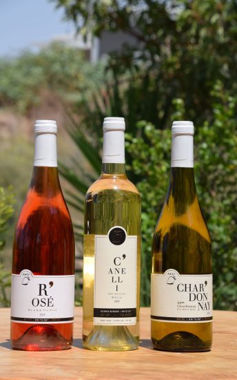יקב קדמא – Wine More Wine