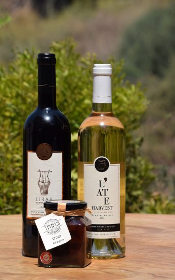 יקב קדמא – Wine More Wine