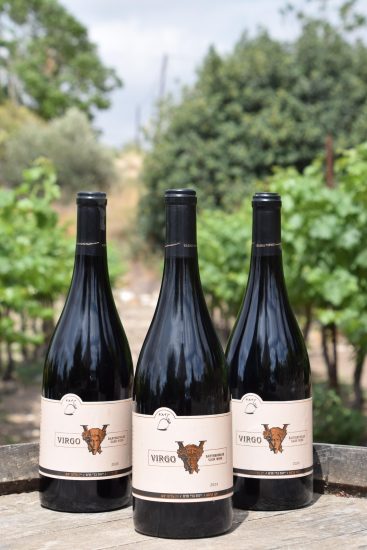 יקב קדמא – Wine More Wine
