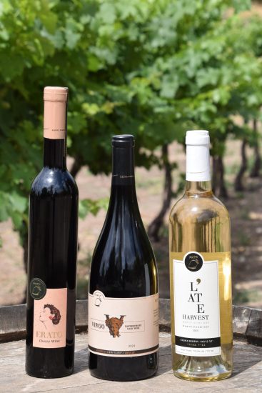 יקב קדמא – Wine More Wine